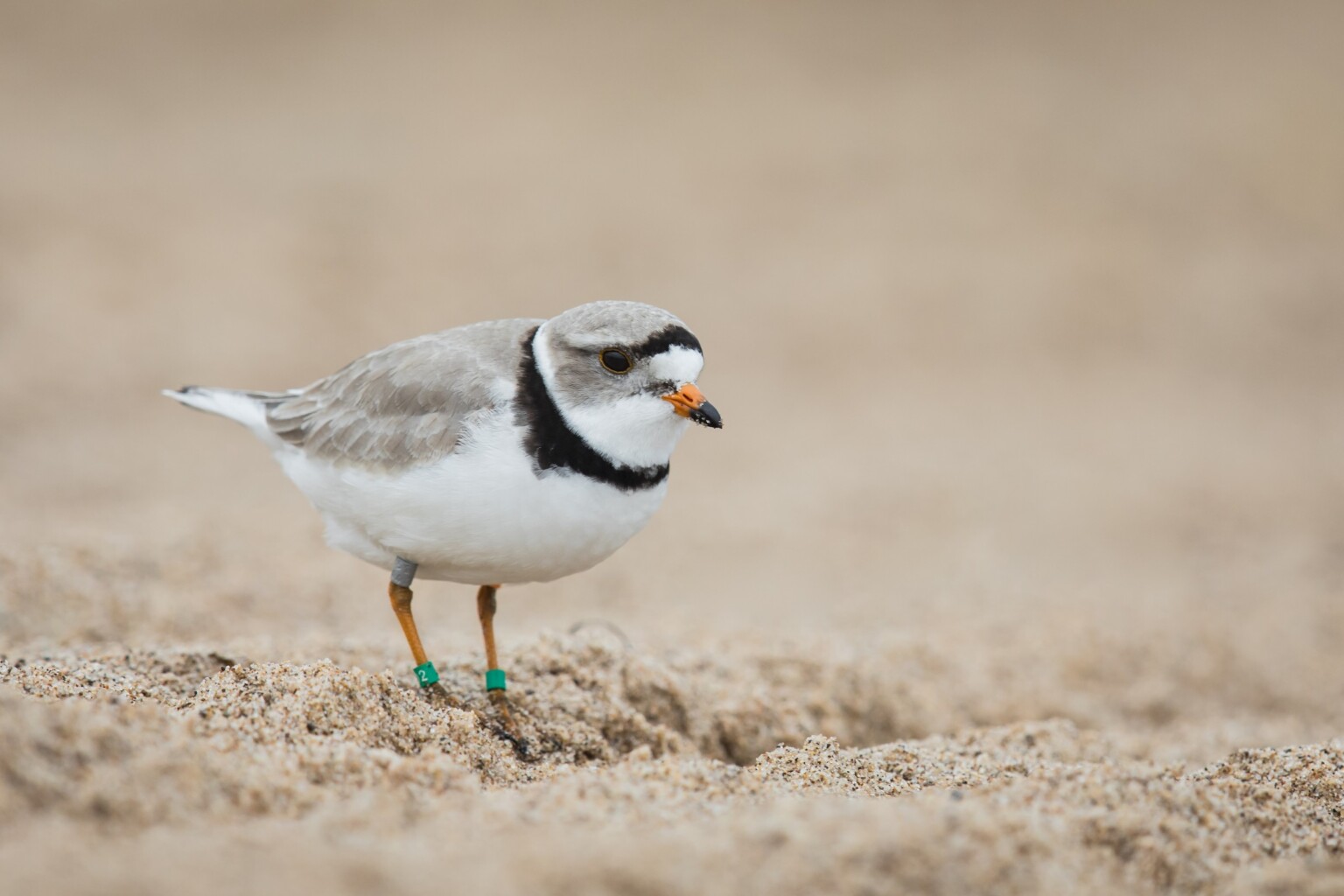 An Update on Two Federal Environmental Orders – Indiana Audubon